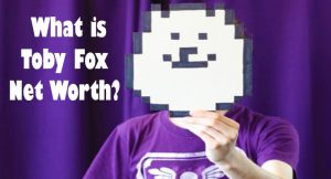 Toby Fox Net Worth 2024, Age, Height, Face, Wife, Girlfriend, Bio-Wiki