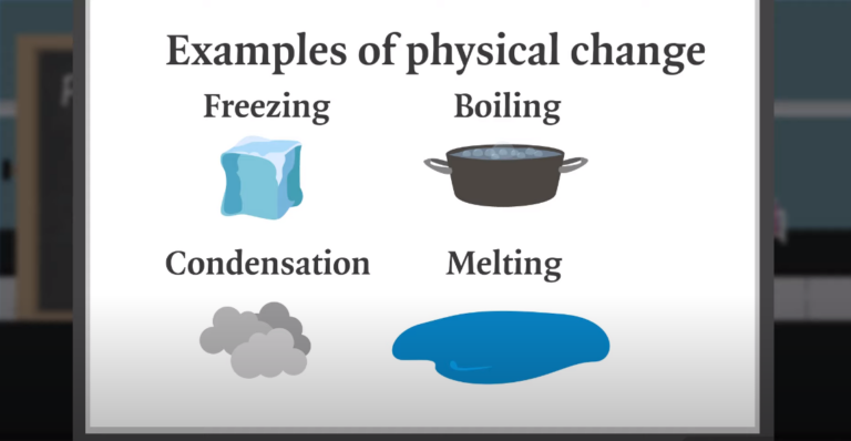 From Burning Wood to Cooking Food: Examples of Physical and Chemical ...