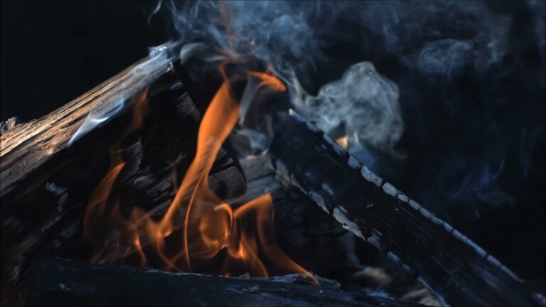 From Burning Wood to Cooking Food: Examples of Physical and Chemical ...