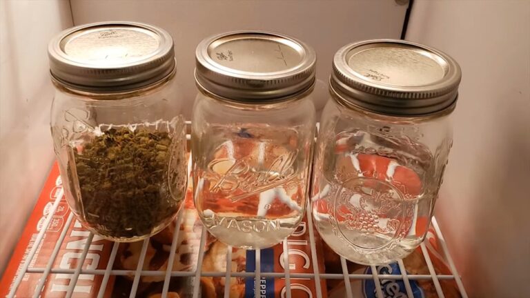 Exploring Different Types of Concentrates - Focusing On Popular ...